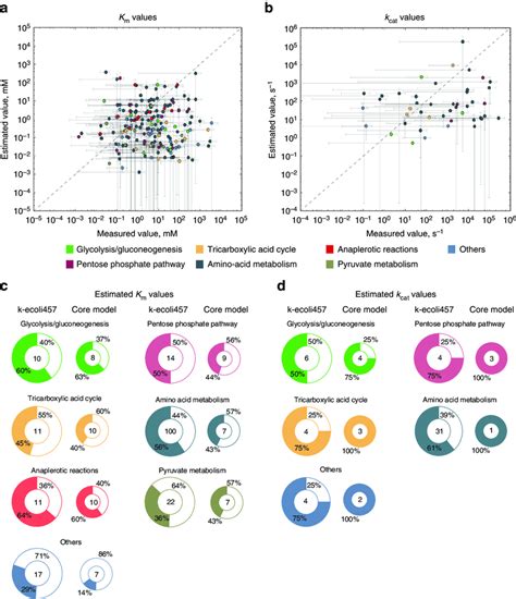 Estimated And Measured Kinetic Parameters Comparison Of The Computed Download Scientific