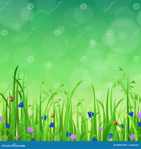 Grass Lawn With Flower And Sunshine In Vector Flat Background Stock