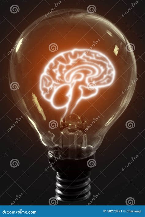 Light Bulb Brain Stock Photo Image