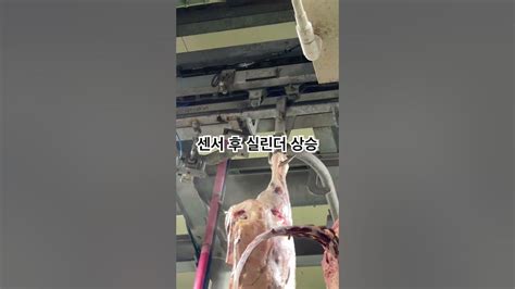 뭐가 문젤까 Youtube