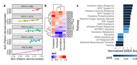 Organoids Are Clinically Relevant Models A Correlation Of Drug