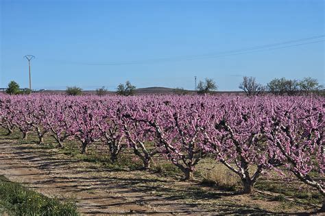 Rust En Een Goed Gevoel Villa Ciperosa