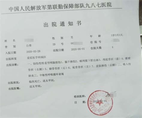 出院通知单图片 出院通知单 大山谷图库