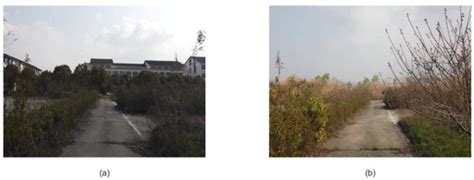 Biomimetics Special Issue Biologically Inspired Design And Control Of Robots