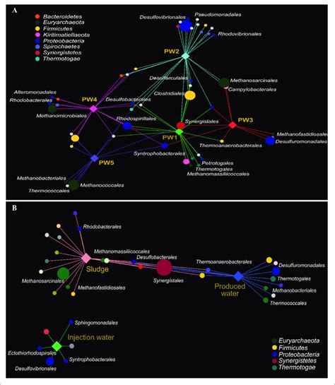 Correlation Based Association Network Between Microbial Community