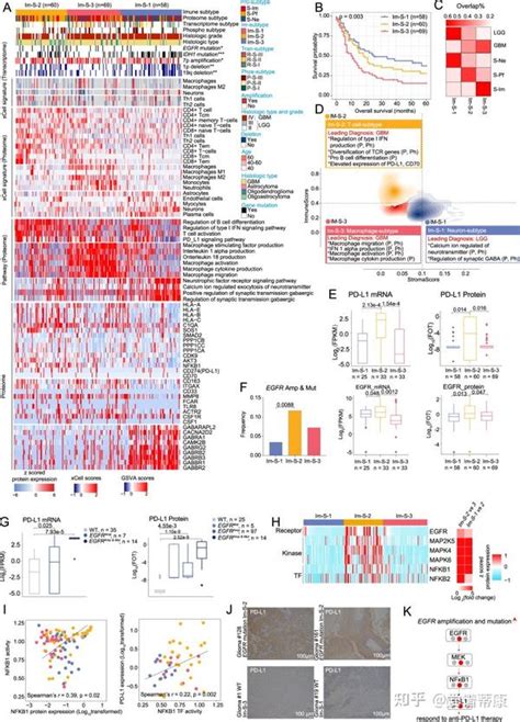 文献解读 弥漫性神经胶质瘤的蛋白质基因组学综合分析 知乎