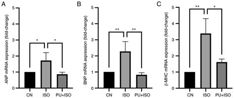 Effect Of Pu On Transcription Of Anp Bnp And β Mhc Mrna Expression Download Scientific