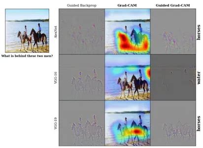 A Guide To Grad CAM In Deep Learning Analytics Vidhya