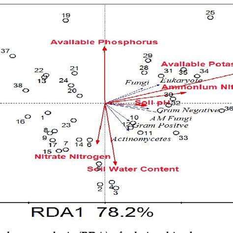 Redundancy Analysis Rda Of Relationships Between Microbial Community
