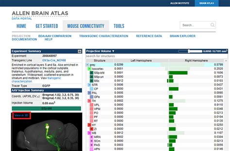 Allen Brain Explorer Beta User Guide Allen Brain Explorer Allen