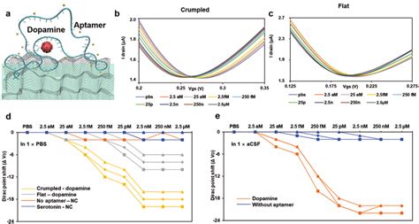 Dopamine Detections On Graphene Fet Biosensors A Schematic Of Download Scientific Diagram