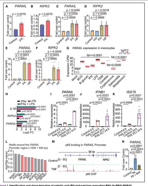 Figure 2 From Palmitic Acidinduced Long Noncoding Rna Parail Regulates Inflammation Via