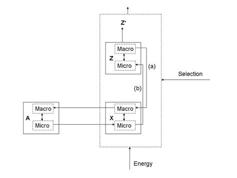 Functional Selectivity And The Micromacro Distinction Download