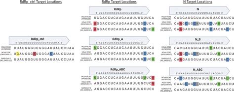 Comparison Of Crispr Target Locations In Hcov Oc43 Hcov 229e And