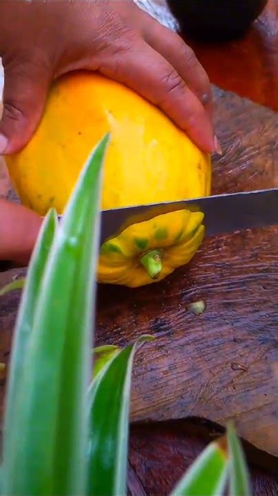 මේකනම් මාරම රසයි ඔයාලත් හදලා බලන්න 🍃😘 Food Recipe Shorts Trending Youtube