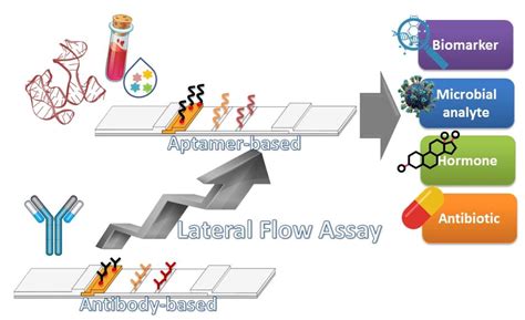 Creative Diagnostics A Transformative Approach To Problem Solving