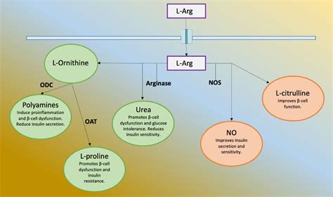 Figure 1 From Cardiovascular Diabetology Semantic Scholar