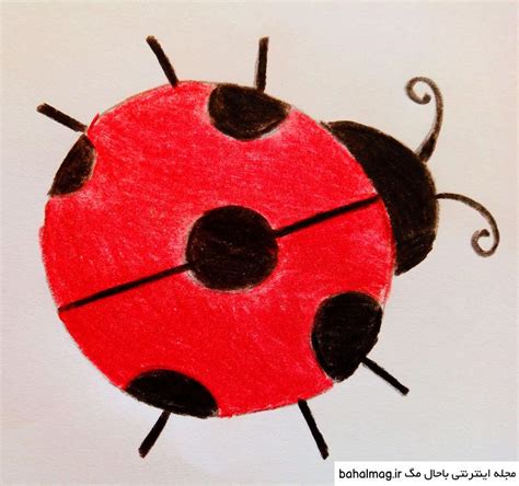 نقاشی کودکانه کفشدوزک ️ بهترین تصاویر