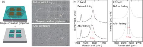 Figure 1 From Self Folded Three Dimensional Graphene For Biointerfaces