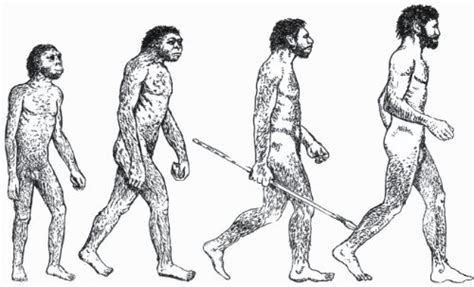 SEXUAL LIFE OF PRIMITIVE PEOPLE By Hans Fehlinger Goodreads