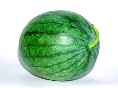 무료 이미지 수박 과일 단 건강한 빨간 식품 익은 영양물 섭취 일부분 녹색 신선한 디저트 배경 닫다 자연스러운 채식주의 자 선도 간식