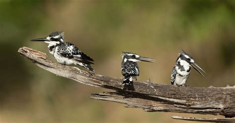 Gcse Geography Reducing The Development Gap Tourism Development