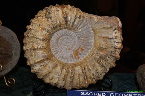 3489402649 118dfa655a Z Zz 1