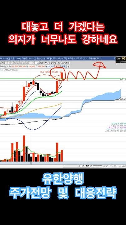 유한양행 주가전망 및 대응전략 이구간 지켜준다면 역사적인 저점이 될수도 있다 유한양행목표가 유한양행 유한양행렉라자 유한양행대응 유한양행주가전망 유한양행주가전망