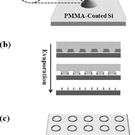 schematic representation of λ dna microring arrays formed by controlled