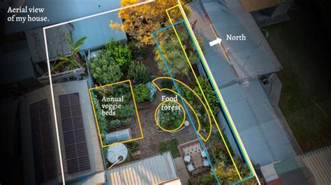 How To Sun Map Your Garden To Help Veggies And Fruit Trees Thrive