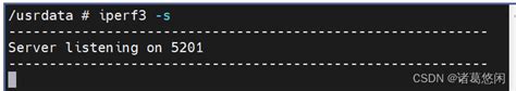 iperf 3 测试udp和tcp方法详解 iperf3 csdn博客
