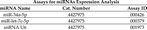 List Of Employed Taqman Assays For Analysis Of Mirna Assay For Mirna