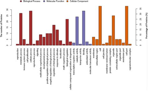 Function Categorization Of The Acquired Clones By Go Analysis Go