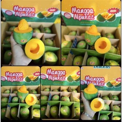 Jual Mangga Klonal/mangga harum manis/mangga alpukat 1kg | Shopee Indonesia