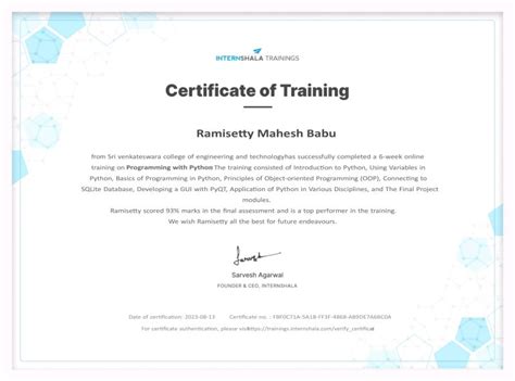 pythonprogramming internship careergrowth techindustry