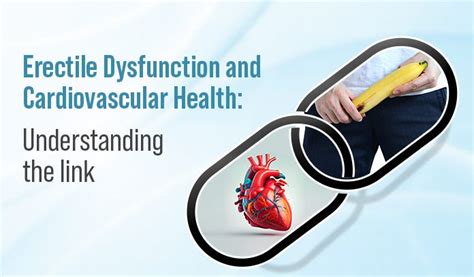 Understanding The Relationship Between Cardiovascular Health And Powerful Erections By