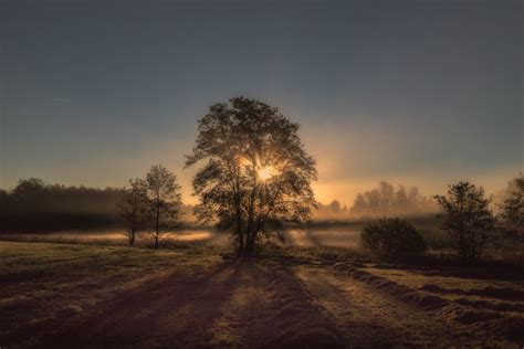 Herbstlicht Foto & Bild | world, baum, natur Bilder auf fotocommunity