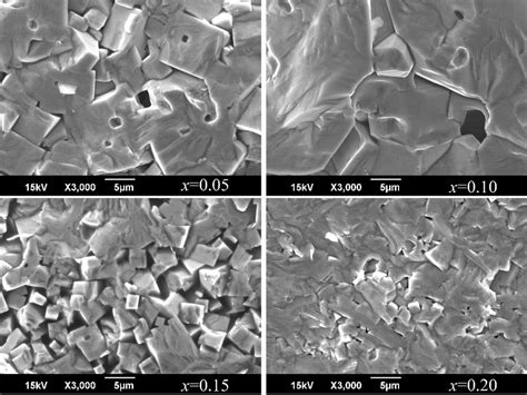 Figure A4 Fragments Of The Microstructure Of Ss Ceramics Of The Download Scientific Diagram