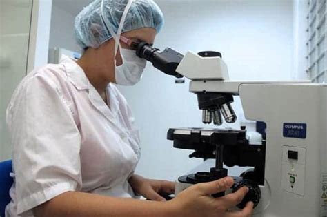 Top Pros And Cons Of Cloning Reproductive Cloning BioExplorer