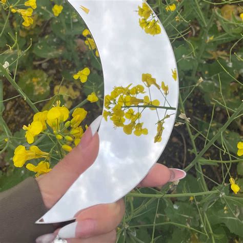 2025年:未来已来,科技与生活的完美融合🚀 2025 淘宝百科网 2025年:未来已来,科技与生活的完美融合🚀 2025 淘宝百科网