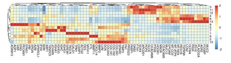 15 Workflow Visium Hd Orchestrating Spatial Transcriptomics Analysis