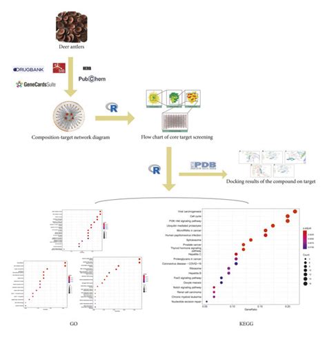 Brief Flowchart With Network Pharmacology And Molecular Docking Download Scientific Diagram