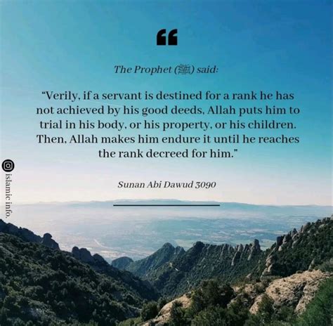 Dr Jameel Shaik Posted On Linkedin