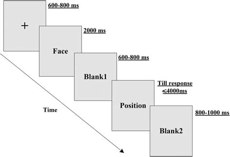 Experimental Task Participants Were Instructed To Observe A