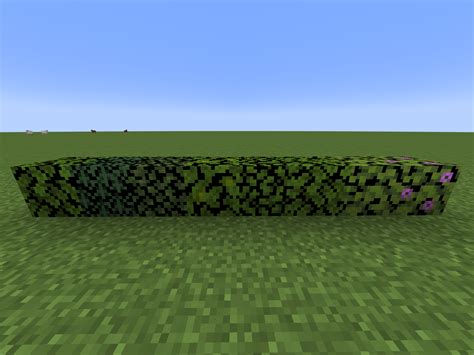 Minecraft Leaf Block Texture