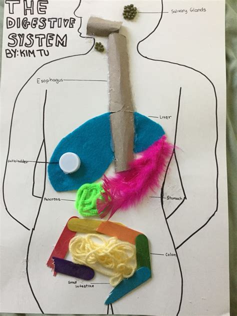 Pin On A P 2 Project Ideas