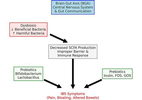 Gut Microbiota Derived Metabolites And Chronic Inflammatory Diseases