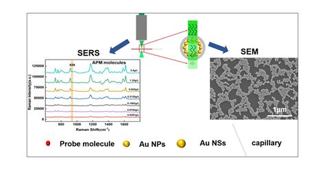 Highly Sensitive Sers Detection Of Food Additives Using Gold