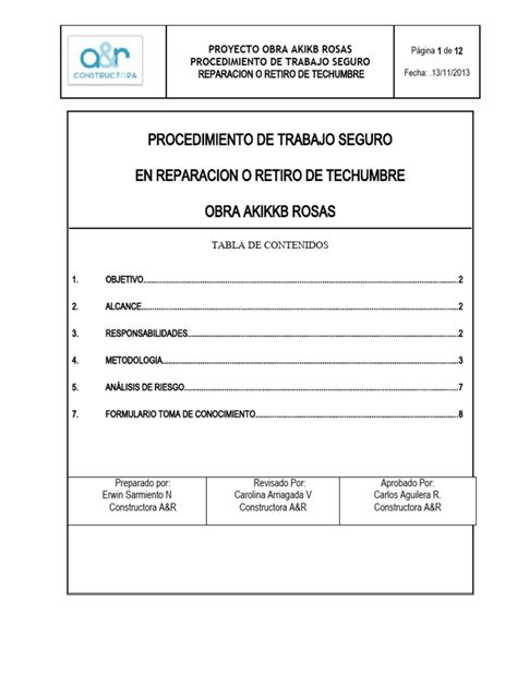 Pts N°2 Reparacion O Retiro De Techumbre Pdf Andamio
