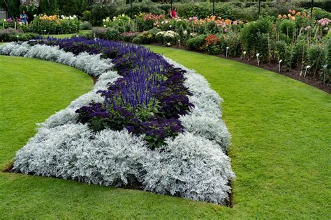 Flower Beds Photographed August 20116